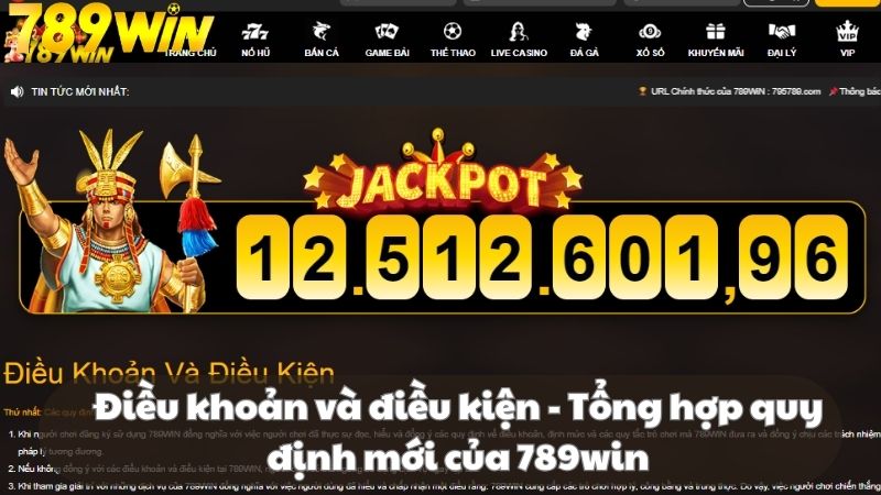 Điều khoản và điều kiện - Tổng hợp quy định mới của 789win - 789WIN